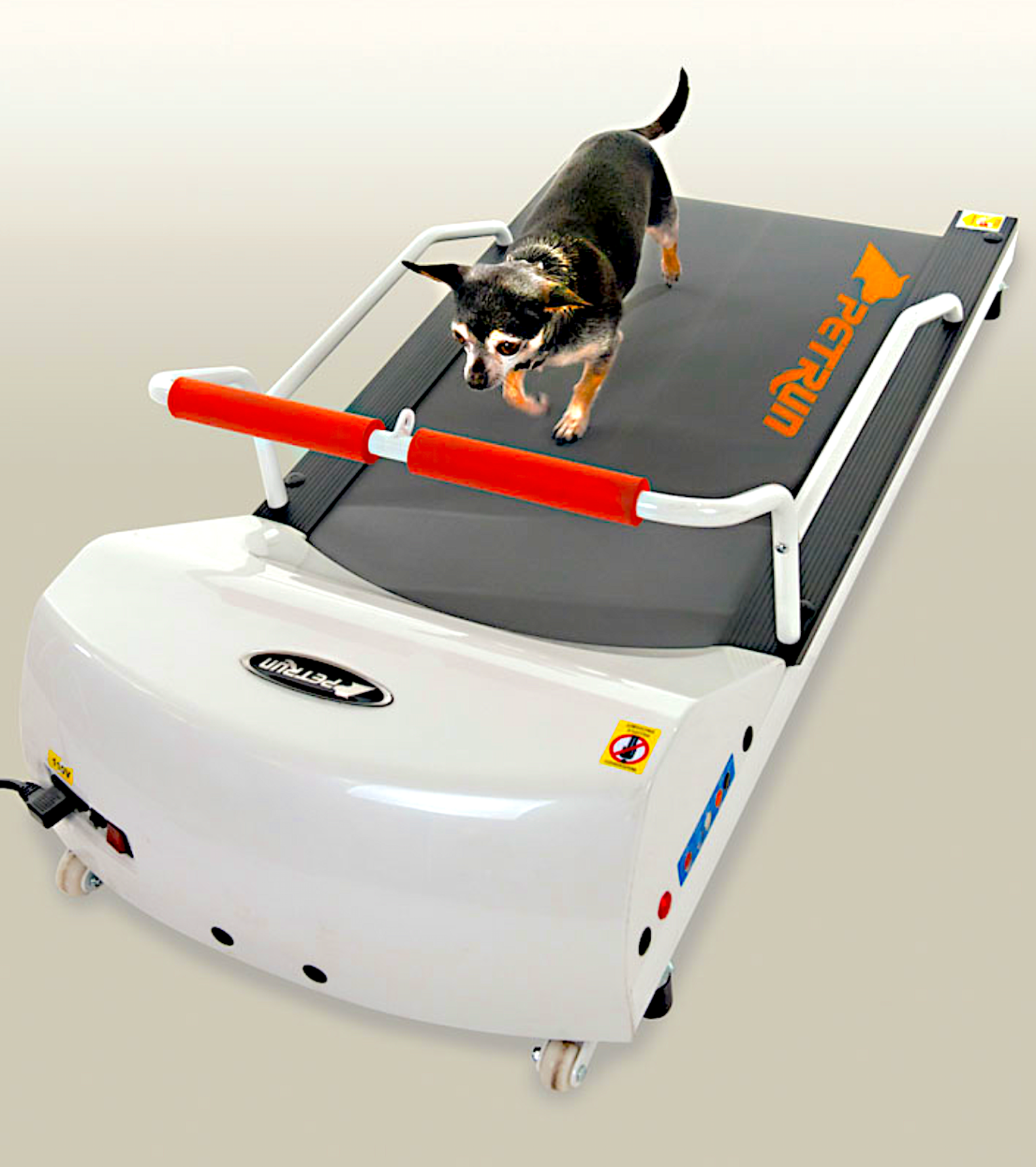 GOPET: Healthy choices for animal exercise - Vital Vet