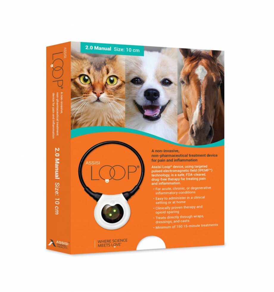 ASSISI LOOP: proven to reduce pain and accelerate healing - Vital Vet