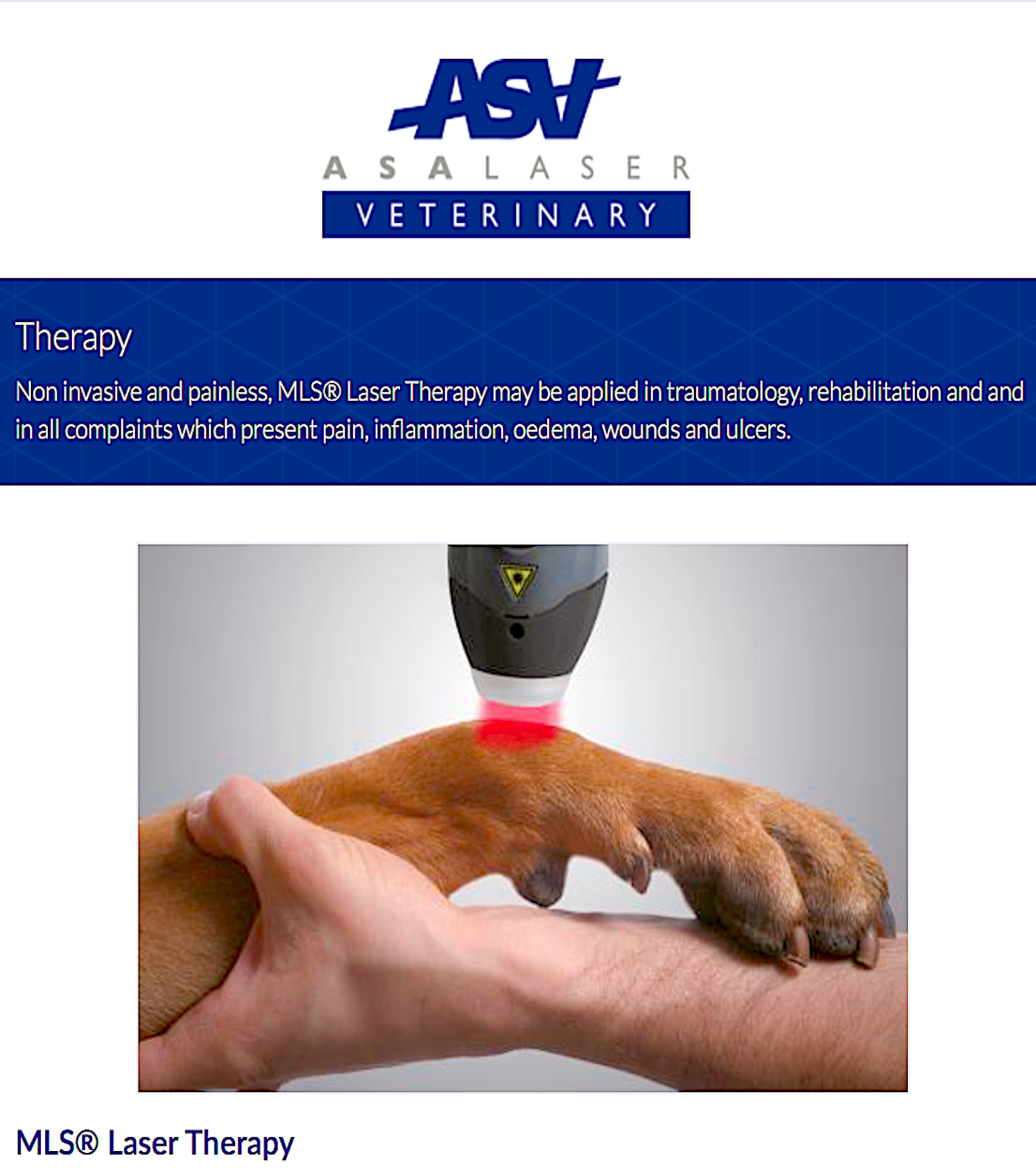 ASA LASER VETERINARY: innovation and veterinary research in laser ...