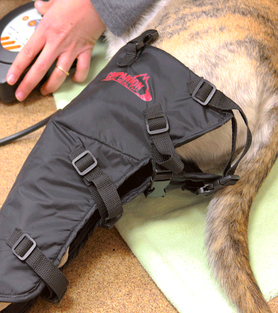 COMPANION COLD COMPRESSION KIT: dual benefit of cryotherapy and ...