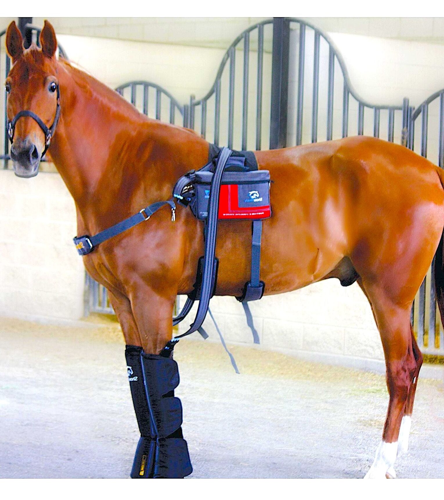 GAME READY EQUINE: dual effect cold compression - Vital Vet