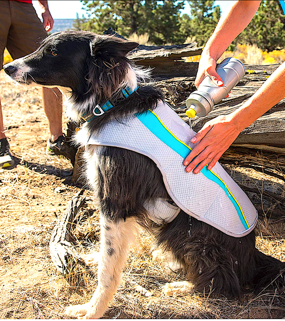 RUFFWEAR SWAMP COOLER VEST: helps cool dogs off in hot weather and ...