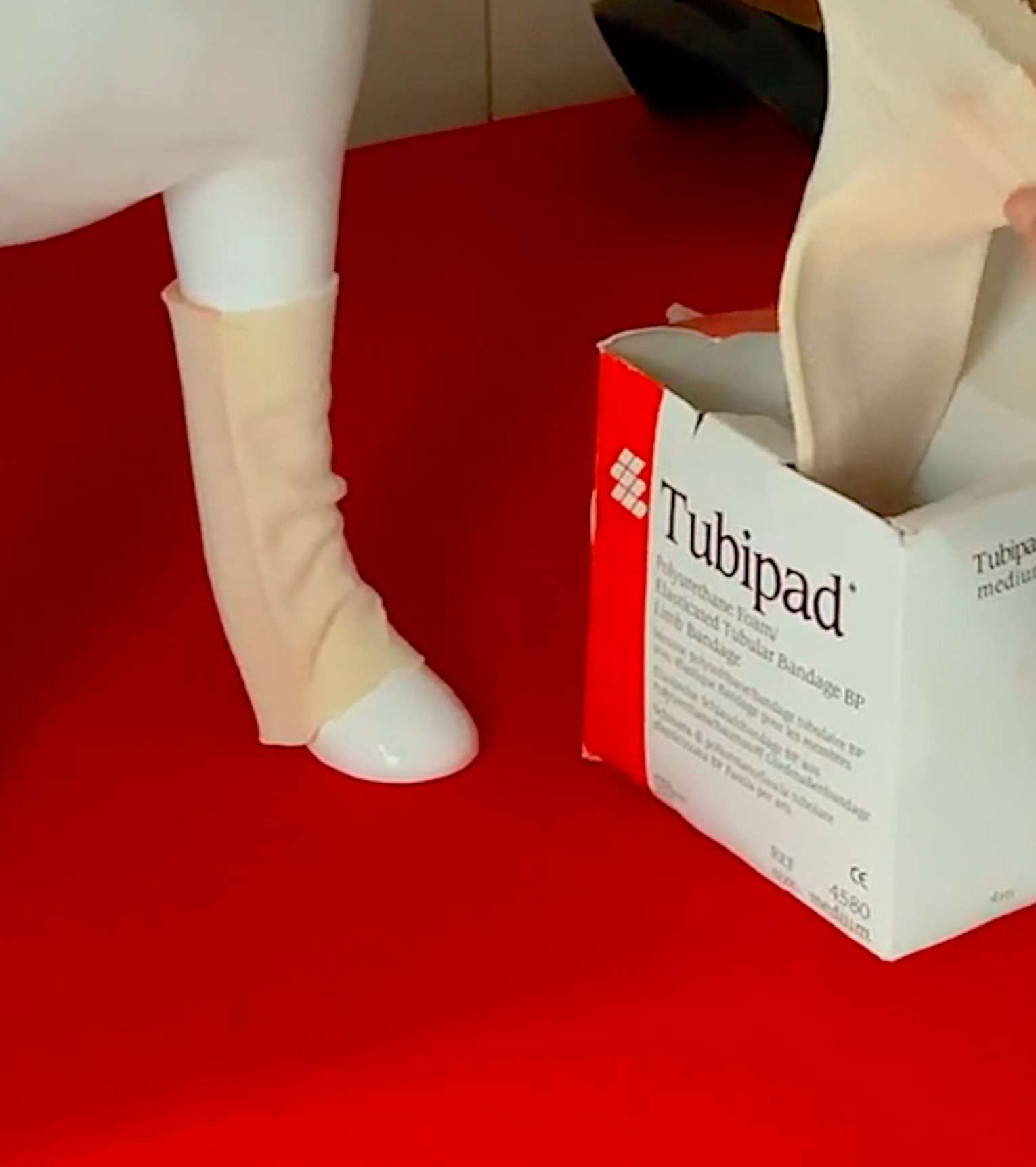 TUBULAR PADDING: to protect limbs under braces and splints - Vital Vet