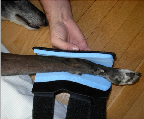 Accessories: padding, splinting - Vital Vet