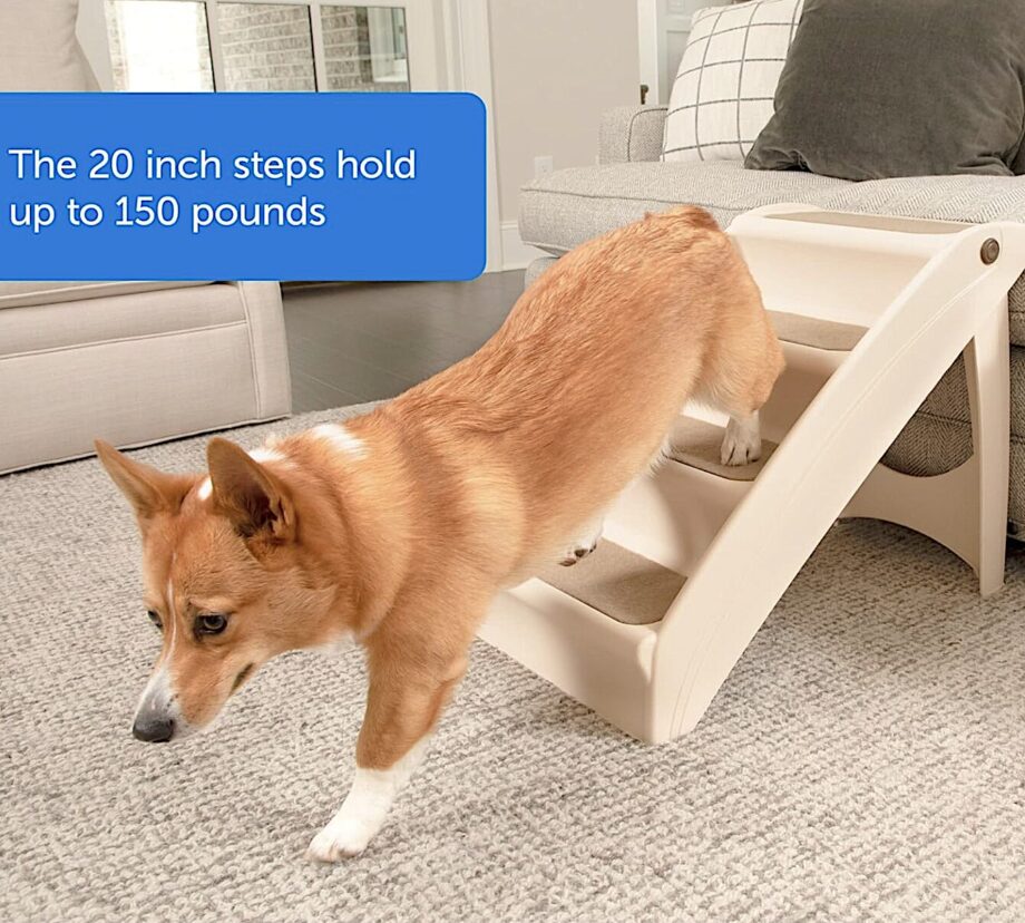 PETSAFE FOLDING STAIRS: indoor/outdoor steps for dogs and cats - Vital Vet