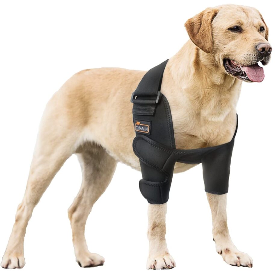 DOG ELBOW SUPPORT AND PROTECTION: for hygroma, calluses, and dysplasia ...
