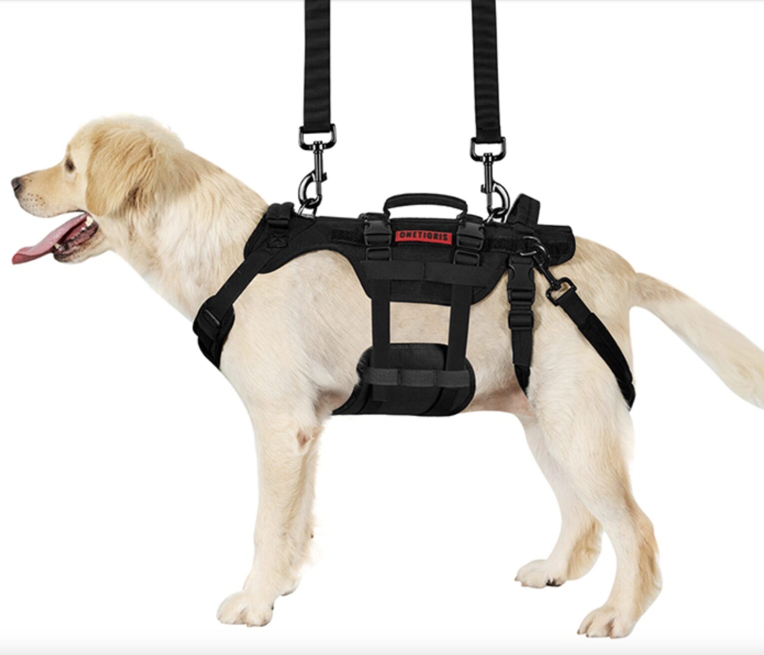 INVICTUS SUPPORT HARNESS: Daily mobility assistance for walking - Vital Vet