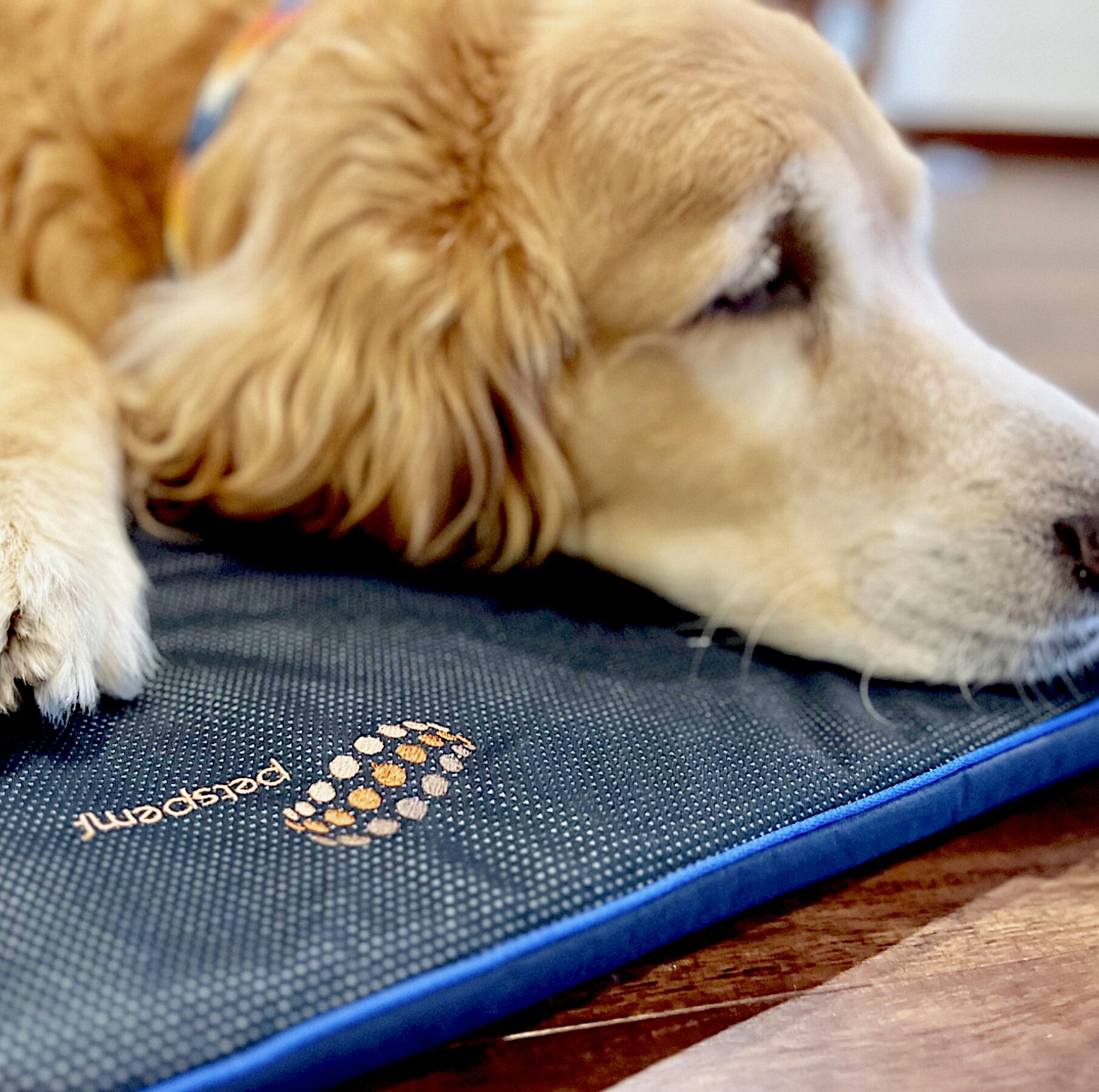 PETSPEMF PAD - Vital Vet